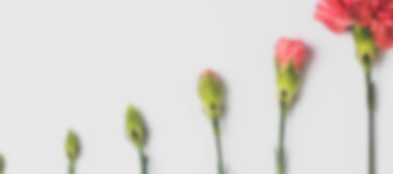 Math ＊ Byrdseed.TV