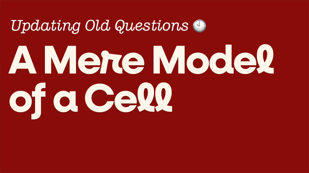 Don’t Make A Mere Model! ＊ Byrdseed.TV