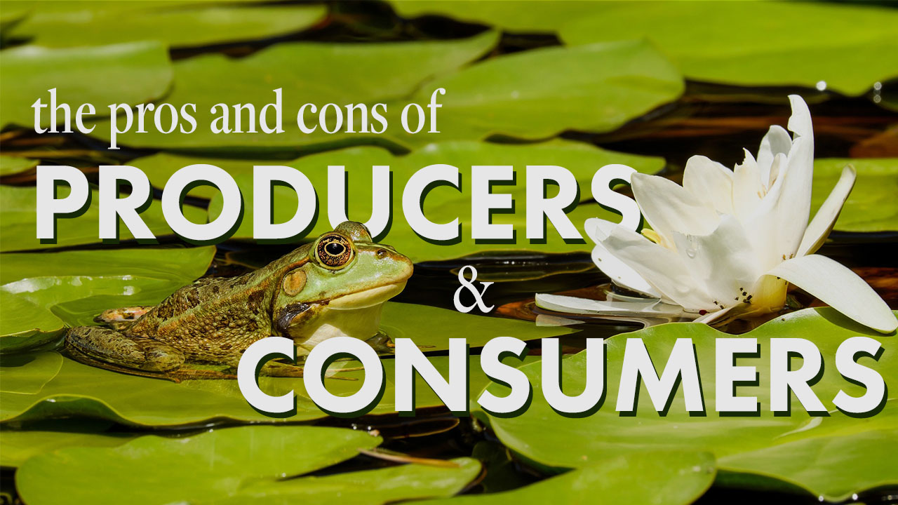 The Pros and Cons of Producers and Consumers ＊ Byrdseed.TV