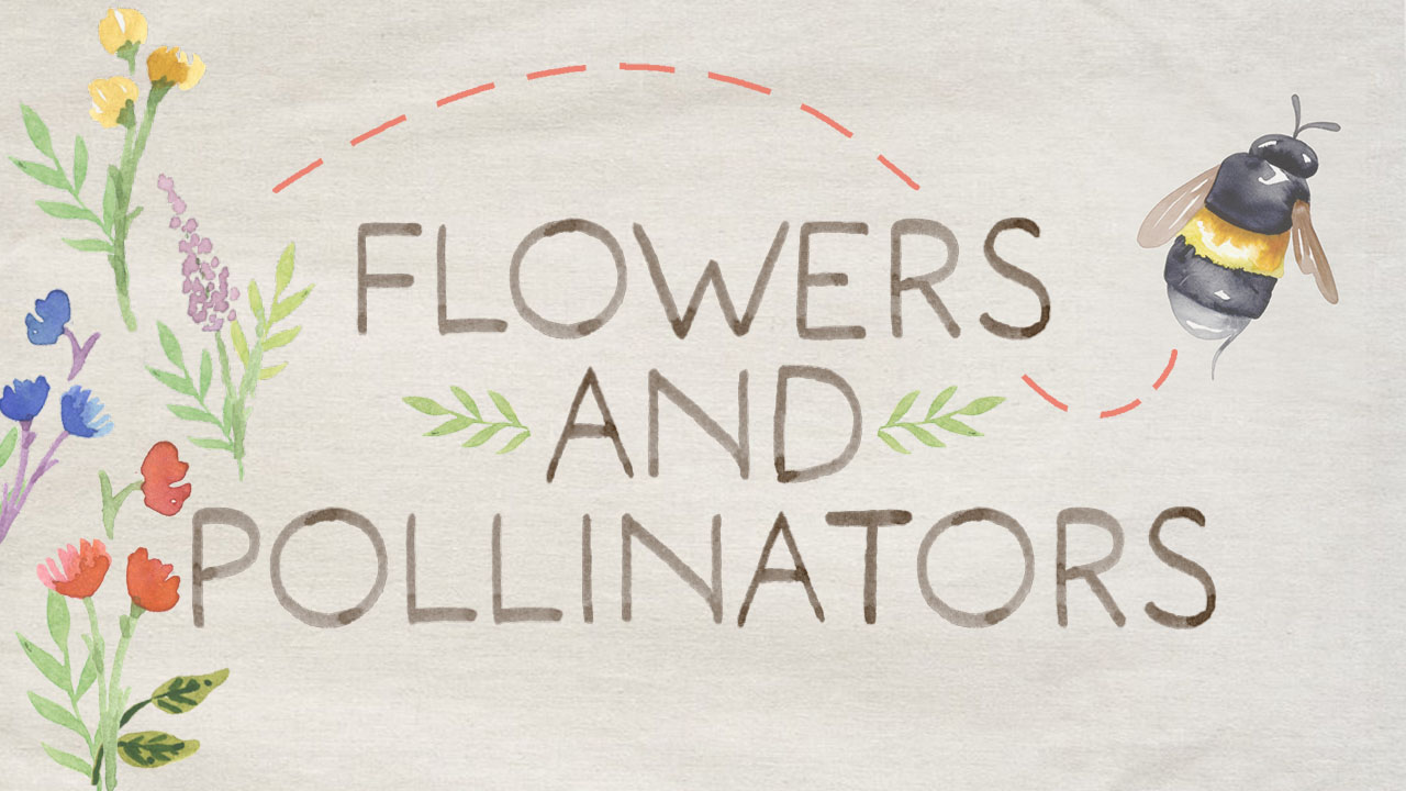 Creating A Realistic Flower and Pollinator ＊ Byrdseed.TV