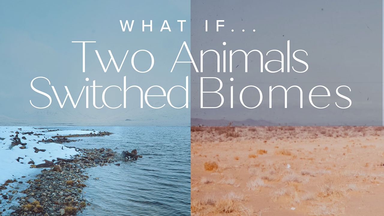Two Animals Switch Biomes ＊ Byrdseed.TV
