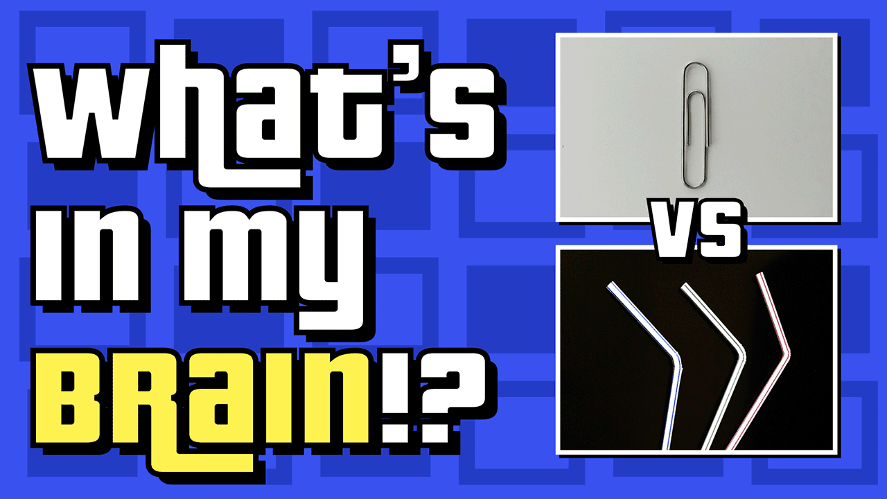 What’s In My Brain: Paperclip vs Straw ＊ Byrdseed.TV