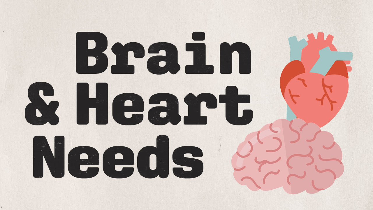 Brain Needs or Heart Needs ＊ Byrdseed.TV